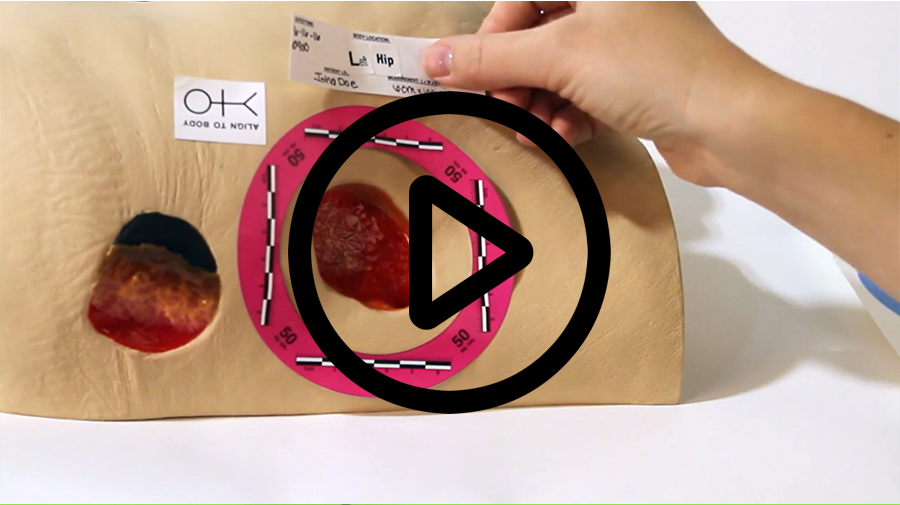 KISS Stick Figure Measurement Guide (SF16) - KISS System